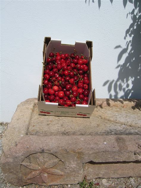 Passado De Pedra Cereja Da Cova Da Beira O Ouro Vermelho”
