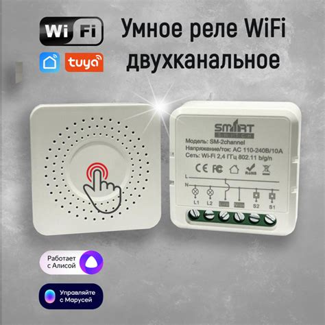 Умное реле WiFi двухканальное. Работает в Tuya Smart Life. Поддержка ...