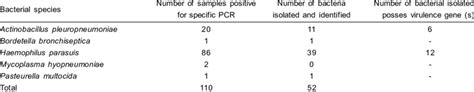 Details Of Pcr Based Detection And Bacteriological Isolation And