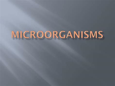 Ppt Microorganisms Powerpoint Presentation Free Download Id2395144