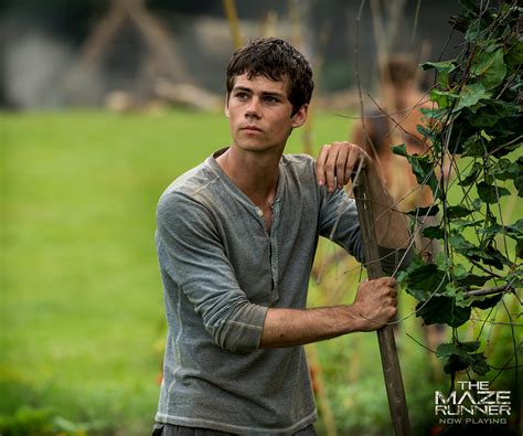 Thomas The Maze Runner Photo 37605056 Fanpop