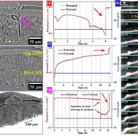 Pdf Advancing Knowledge Of Electrochemically Generated Lithium Microstructure And Performance