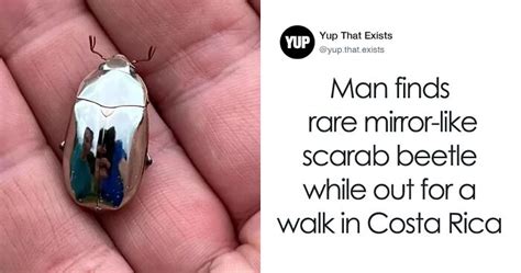 30 Things You Probably Never Knew Existed Shared By Yup That Exists