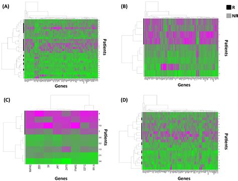 Sex Specific Prediction Of Interferon Beta Therapy Response In