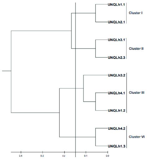 Dendrogram Based On The Unweighted Pair Group Method Using Arithmetic