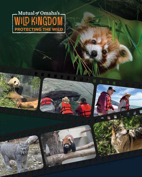 Stream The First Four Episodes From Season 3 Of Mutual Of Omahas Wild