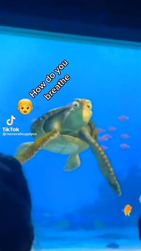 Turtle Talk With Crush Finding Nemo Ride Disneyland Turtle Talk With