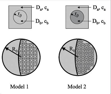 Heterogeneous Diffusion Model Model 1 And Distributed Microstructure
