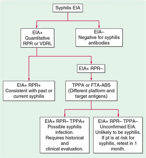 Syphilis Basicmedical Key