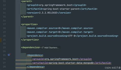 深入解析：java 155 Mongodb Spring Boot 连接实战 Template Vs Repository（含索引与常见坑