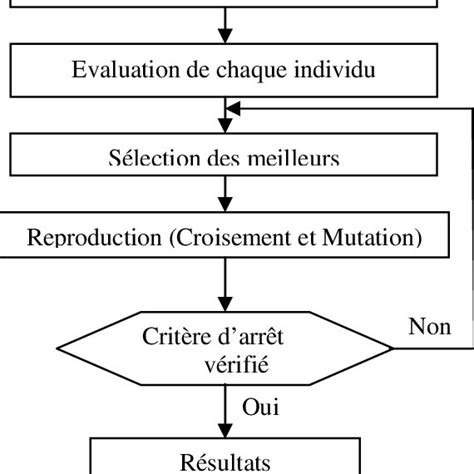 Principe de fonction d un algorithme génétique Download Scientific Diagram