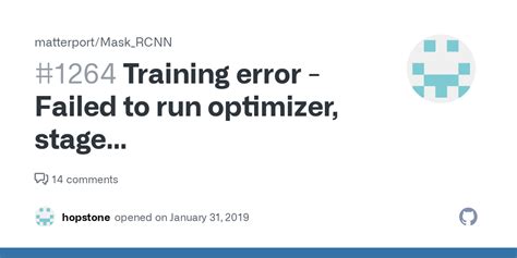 Training Error Failed To Run Optimizer Stage