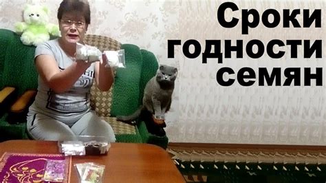 Сроки всхожести семян Можно ли сеять прошлогодние семена на рассаду и в