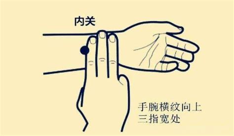 内关的准确位置图 3 配图网