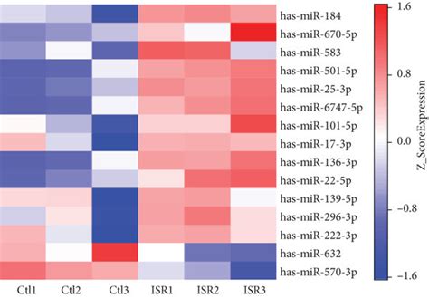 Mirna Microarray Assay And The Relationship Of Mirna 501 5p And