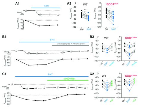 Modulation Of The E Gabaar By Exogenous 5 Ht Application A1