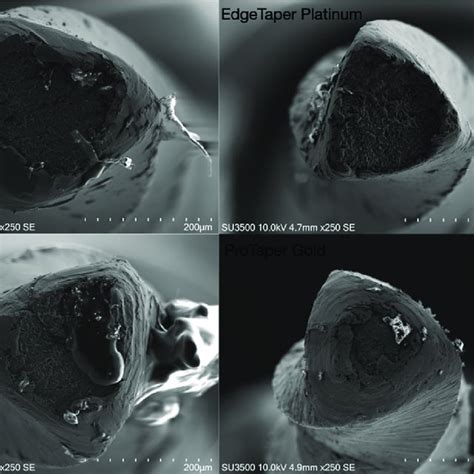 Sem Analysis Flexural Fracture Evidenced By The Fatigue Striations