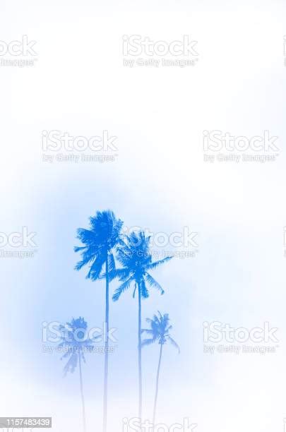 複製熱帶棕櫚樹的空間藍天和白雲抽象背景的太陽光暑假和自然旅遊冒險概念復古色調濾鏡效果顏色樣式 照片檔及更多 健康飲食 照片 健康飲食 光