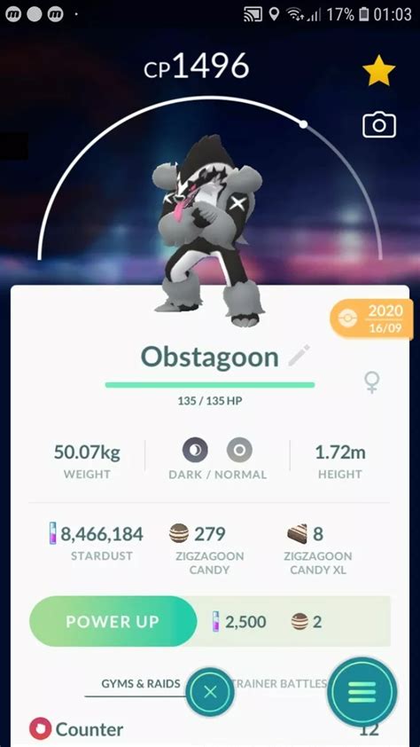 Pokemon Zigzagoon Evolution