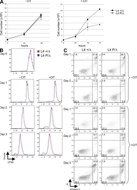 Proliferation Of Lig4 Null Cells A Normal And Reduced Propagation Of