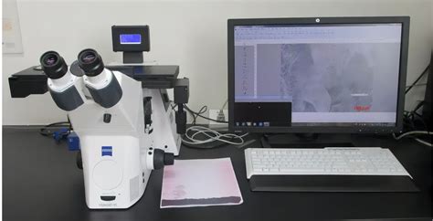 Ut Test Hardness Test Microstructure Test Spectrograph Test