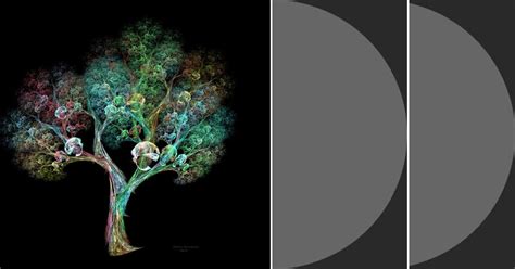 List Trees Curated By Marjorie Opiyo Medium