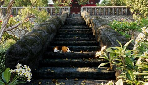 13045 Download Free 3d Pagoda Share Model By Thinh Vo 3dziporg 3d