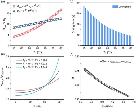 A The Diffusion Coefficient Of Pvdf And The Evaporation Rate Of Nmp At