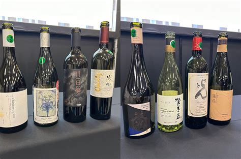 DWWA 2023 Decanter Presented Award Winning Wines At ProWine Tokyo