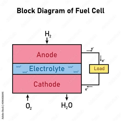 Flow Rate Of Hydrogen In Fuel Cell At Tamara Wickline Blog