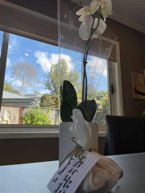 Reena Patel On Linkedin Differencemakers