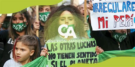 Una aproximación socio jurídica al activismo ambiental Conexión ambiental