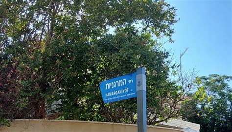 David I Rabhan On Linkedin Netanya Netanyarealestate Israel