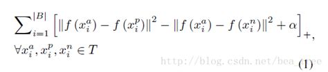 论文水记 how to train triplet networks with 100k identities csdn博客