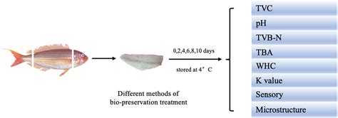 Effects Of Collagen‐based Coating With Chitosan And ε‐polylysine On Sensory Texture And