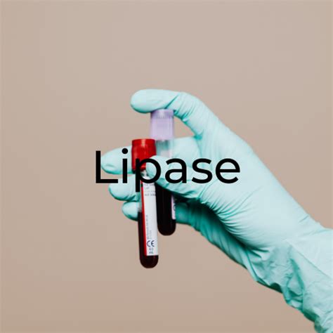 Lipase Patholab Laboratory