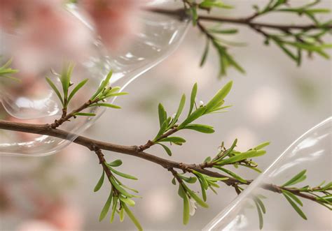 Tax Base Stabilization → Area