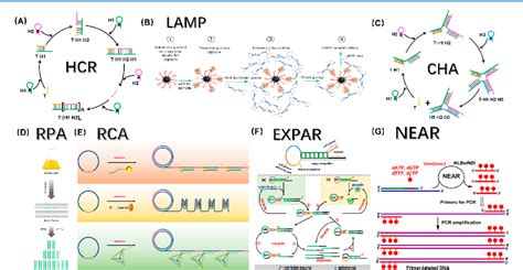 Figure 1 From Recent Advances In Design And Application Of Nanomaterials Based Colorimetric