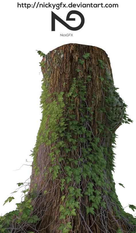 Tree Stump Render By NickyGFX On DeviantArt