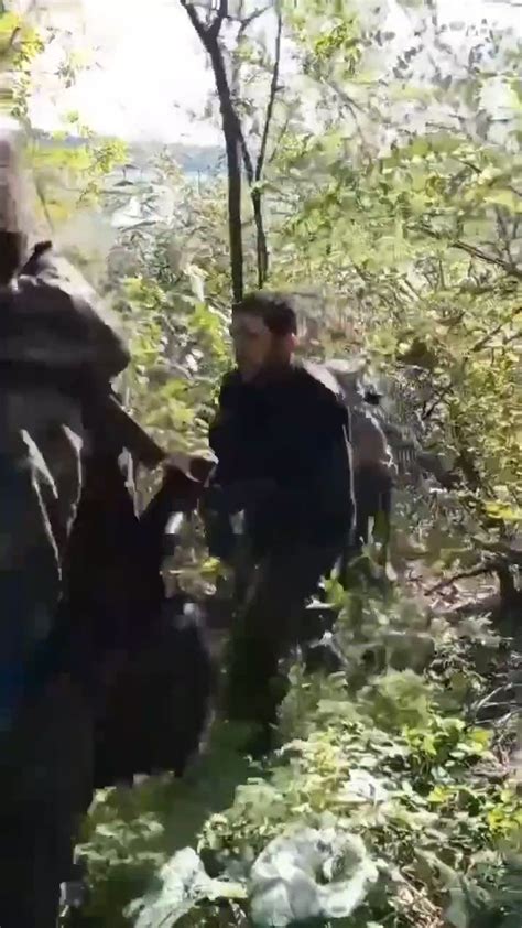 Аslan On Twitter Frtffiwoh6 Twitter