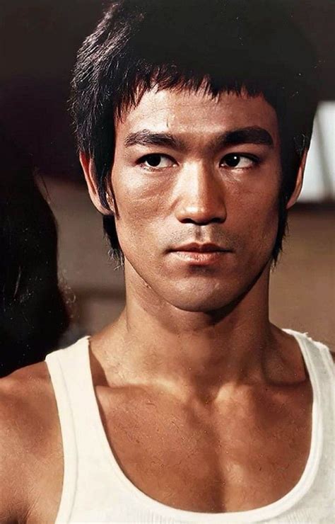Bruce Lee Bruce Lee Photos Bruce Lee Bruce Lee Pictures