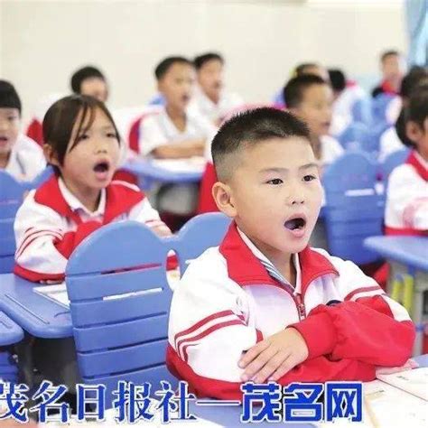 事关双减茂名市教育局公布投诉举报电话及邮箱 教育部 培训 工作