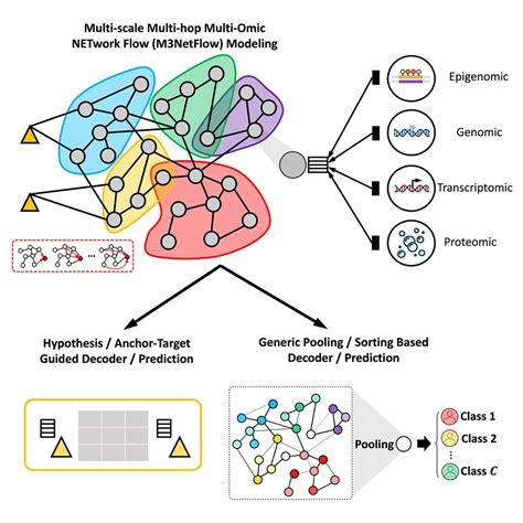 m3netflow a multi scale multi hop graph ai model for integrative multi