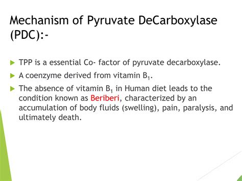 Fate Of Pyruvate Under Anaerobic Condition Pptx