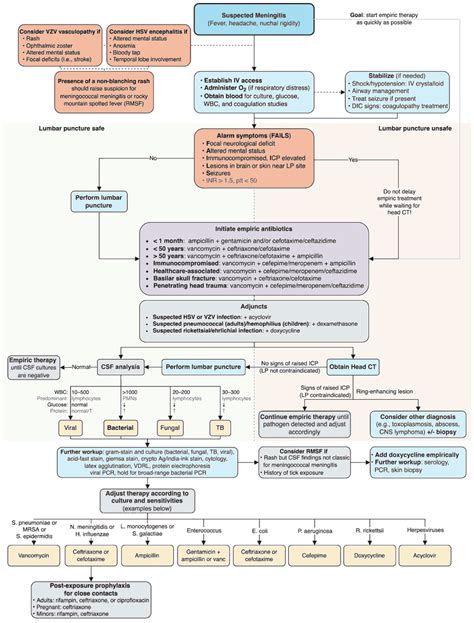 Diagnosing And Treating Meningitis Manual Of Medicine