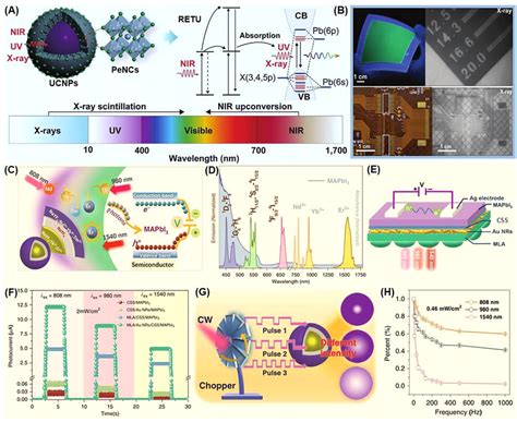 A Schematic Illustration Of The Structure Design Of Upconversion Download Scientific Diagram