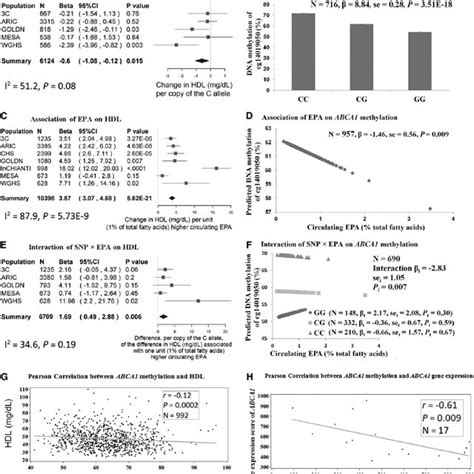 Relations In Plasma Tg Ala And Snp Dna Methylation And Gene