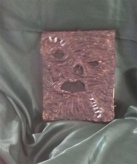 Evil Dead Book Necronomicon Ash Vs The Evil Dead 100 Pages Of Evil