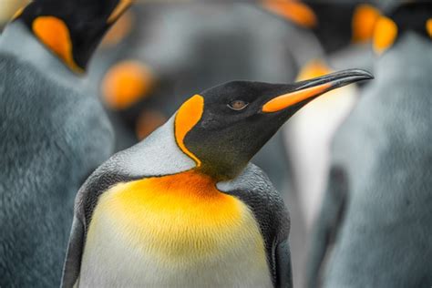 해외 배당주 투자의 세금 전략 효율적인 절세 가이드