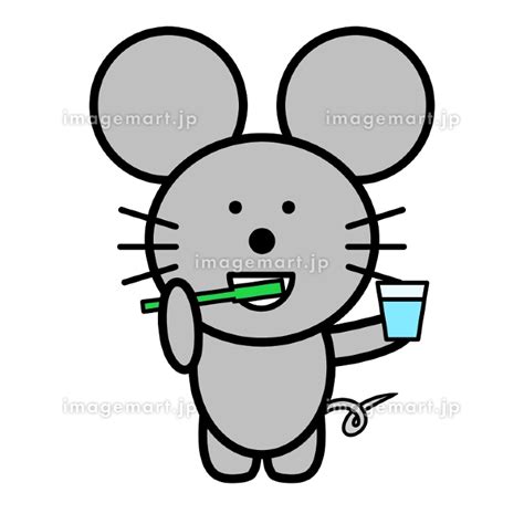 歯を磨くネズミのイラスト 210609575 イメージマート